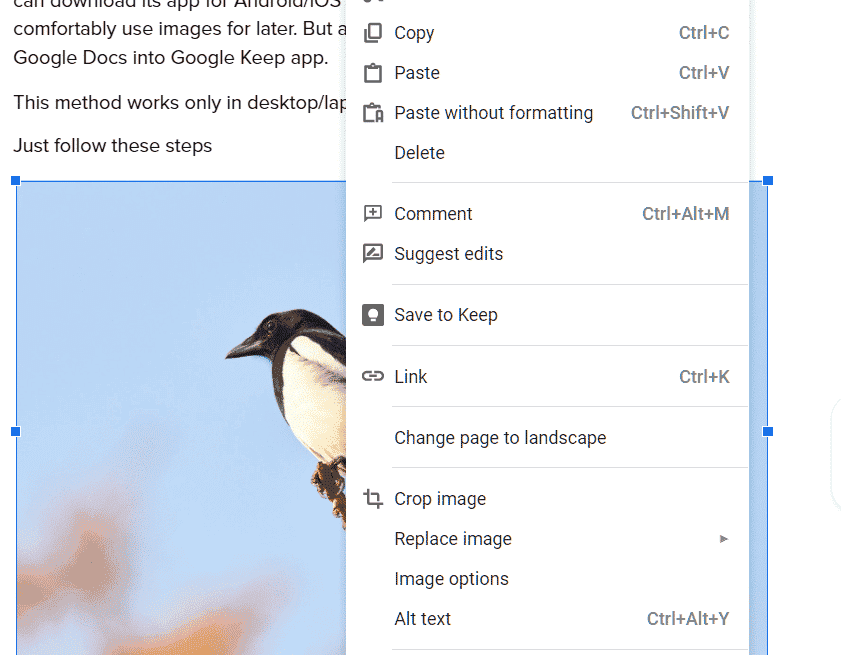How to Save Images From Google Docs Document to Your Mac or PC ...