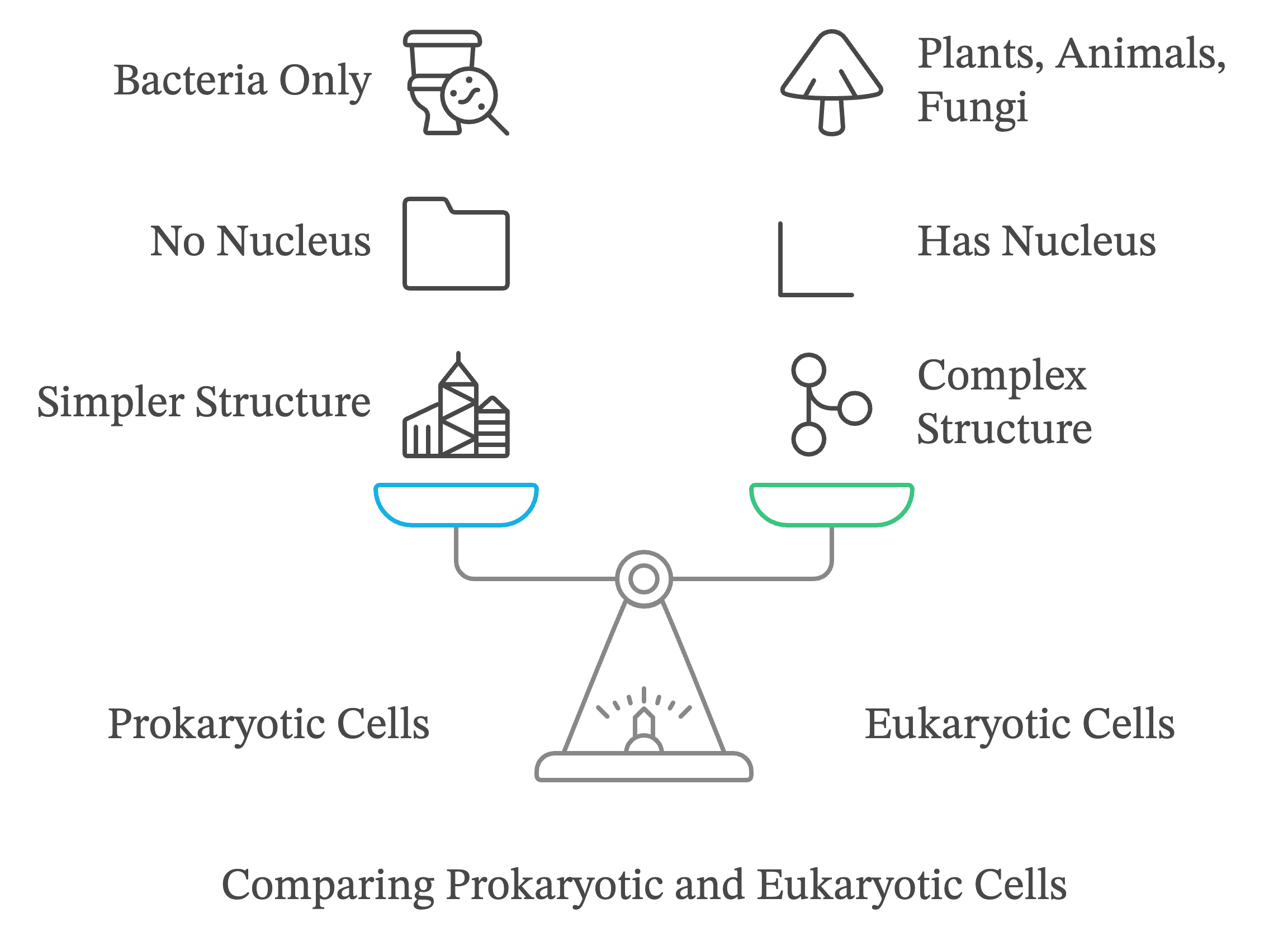 Cell Biology: Definition of Cell, Types, Structure and Functions ...